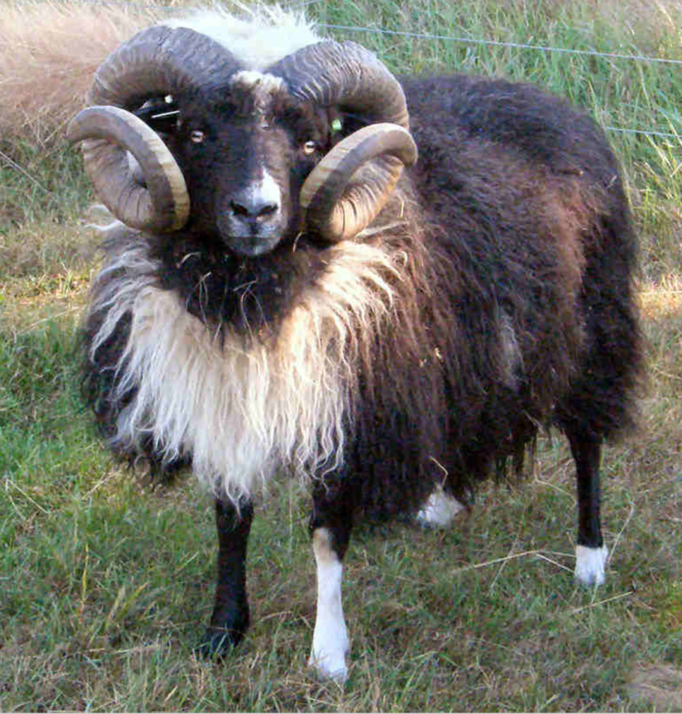 The Fascinating World of Gunni Hilmarson – Scandipop Sensation and Fashion Maestro for Dita Von ...